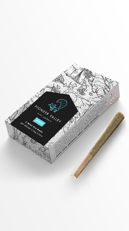 NF1 Old Pal 14g | Black Mamba #11 Flower | PVX Mini 5pk Pre-Rolls